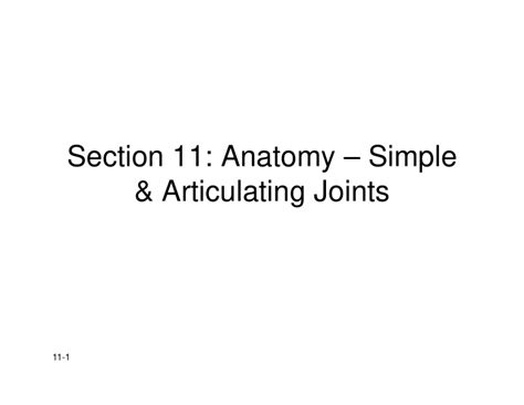[ppt] Section 11 Anatomy Simple And Articulating Joints 11 1 The
