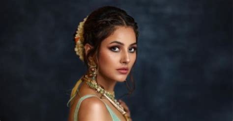 Actress Shehnaaz Gill Looking Stunning In Saree Pic Photos Hd Images