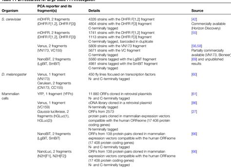 Table 1 From Protein Fragment Complementation Assays For Large Scale