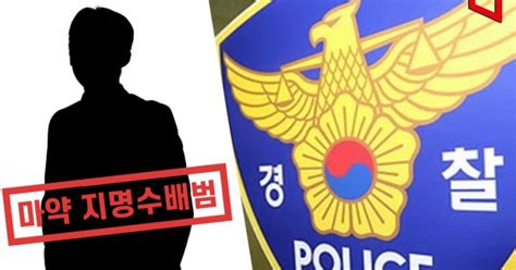 잡고 보니 마약 지명수배범… 20대 남성 검찰에 송치