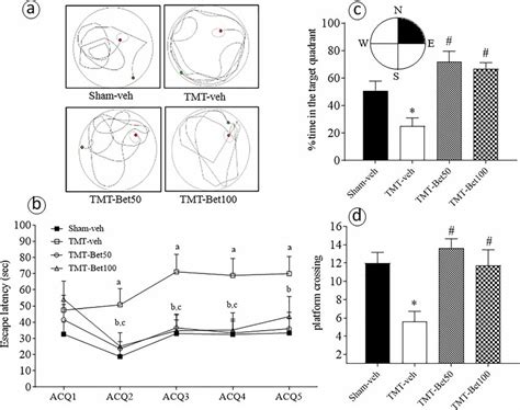 Spatial Learning And Memory Ability In The Mwm Test The Swim Paths In