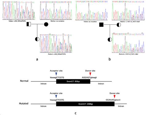 Mutation Detection And Splicing Site Prediction In The Slc25a13 Gene A