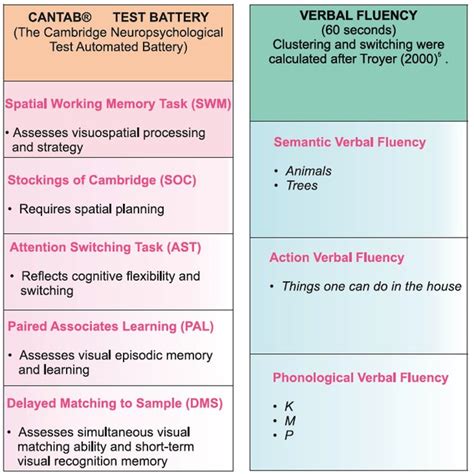Correlations Between Spatial Working Memory Swm And Verbal Fluency