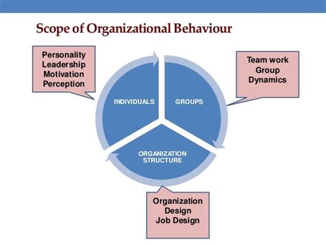 Introduction To Organizational Behaviour