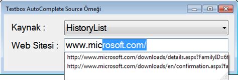 c textbox ın autocomplete Özelliği