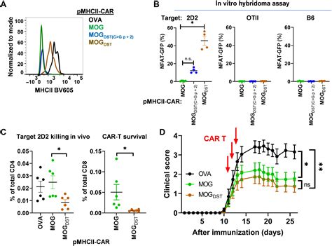 Antigen Specific Depletion Of Cd4 T Cells By Car T Cells Reveals