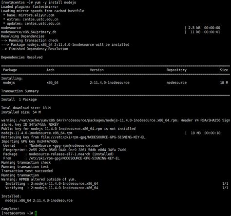 linux系统安装最新版node js和npm 大隐中心