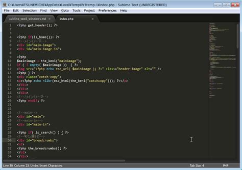 Sublime Text3をwindowsに入れてみた！初めての導入と簡単なカスタマイズまとめ Futurismo