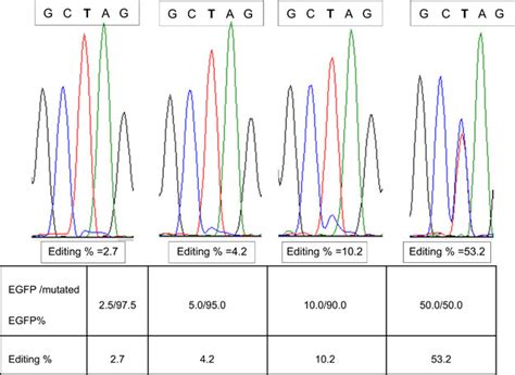 Optimization Of Sequencing Output For The Determination Of Editing