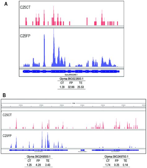 Integrative Genomics Viewer Igv Displays Of Base Coverage For Two