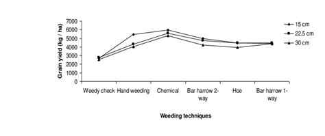 Grain Yield As Affected By Row Spacing And Weeding Techniques