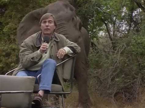 Le Bêtisier Des Animaux Ina