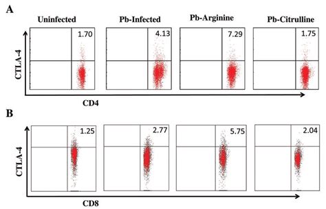 Expression Of Ctla 4 On Cd4 And Cd8 T Cells Pb Infected Mice Were