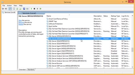 mcs all programs cannot launch or log into any mcs