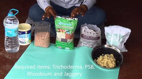 Ground Nut Seed Treatment Using Trichoderma And Biofertilisers Youtube