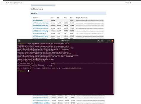 [guida] ecco come installare go golang su ubuntu linux