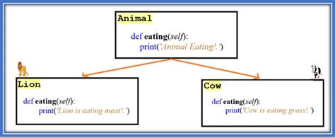python oops tutorial 9 polymorphism in python gravity4tech