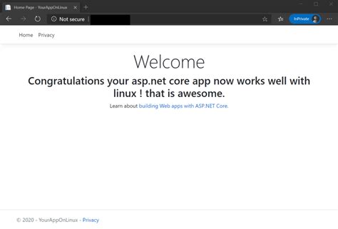 install asp core on linux azure virtual machine ubuntu