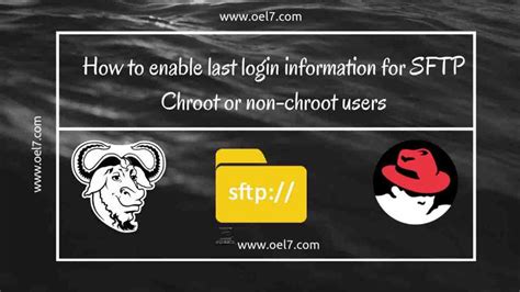 how to enable last login information for sftp chroot or non chroot users