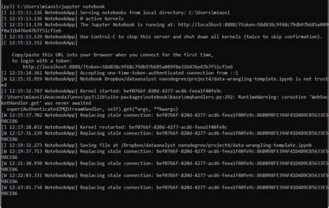 [help ]jupyter notebook fail to connect to server · issue 5638