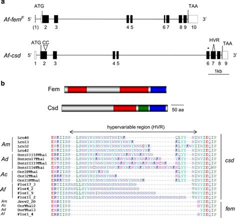 similar but not the same insights into the evolutionary history of