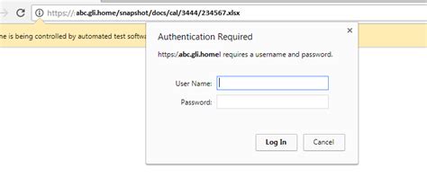how to handle browser authentication in chrome using selenium webdriver