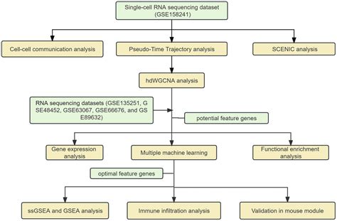 Identification And Validation Of Key Biomarkers Associated With