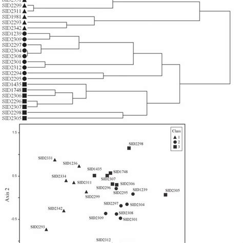 Dendrogram And Ordination Plot Using Nonmetric Multidimensional Scaling