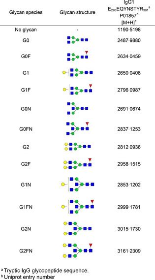 Theoretical Masses Of Tryptic Glycopeptides Of Human Igg1 Glycan