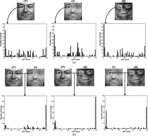 A Three Lbp Pattern Histograms Each Computed By Performing Unichrome