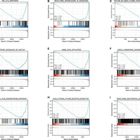 Stratified By Hif1an Levels Different Mrna Expression Patterns In Bc