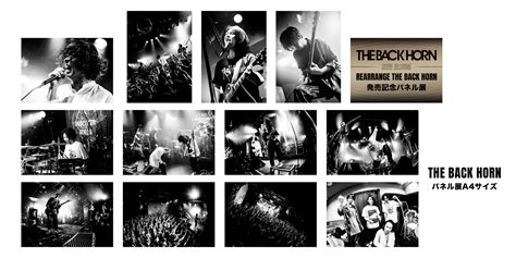 The Back Horn オフィシャルサイト