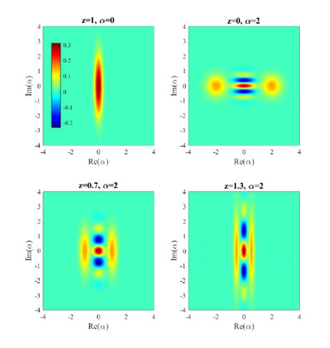 Wigner Functions Of A Squeezed Vacuum A Cat State And The Squeezed