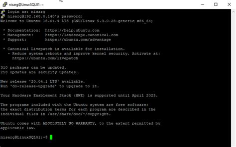 how to install ubuntu 18 04 and sql server 2019 on linux {coding}sight