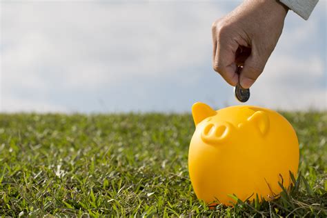 The Worst Mistake Trulieves Investors Can Make Right Now The Motley Fool