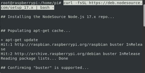 install nodejs and npm on raspberry pi [step by step] golinuxcloud