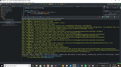 exception in thread main java lang nullpointerexception at main main
