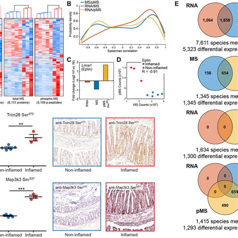 Differential Rna Expression Differential Protein Abundance And