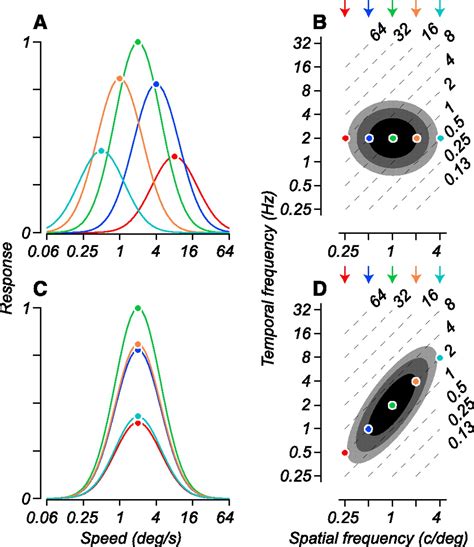 Tuning For Spatiotemporal Frequency And Speed In Directionally