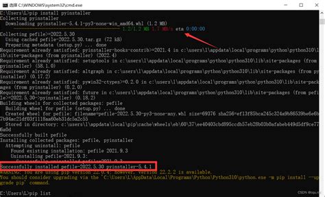 手把手教python打包exe，打包一个简易的小程序。tkinter，python初学者。编程初学者作业：用 填充出自己的名字 python