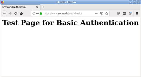 ubuntu 20 04 lts nginx basic authentication server world