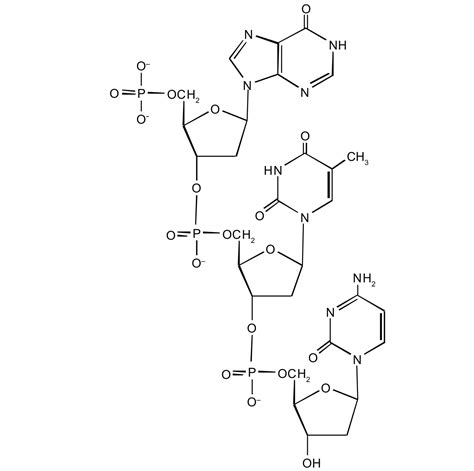 19 2 Nucleic Acid Structure Chemistry Libretexts