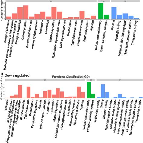 Functional Classification Of Gene Ontology Analysis A Upregulated