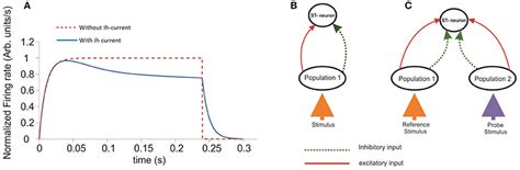 Frontiers Short And Long Term Attentional Firing Rates Can Be