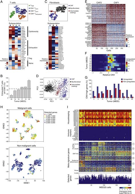 Single Cell Transcriptomic Analysis Of Primary And Metastatic Tumor