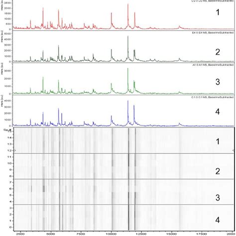 Maldi Tof Ms Spectra Obtained From Leg Protein Extraction Of Four An