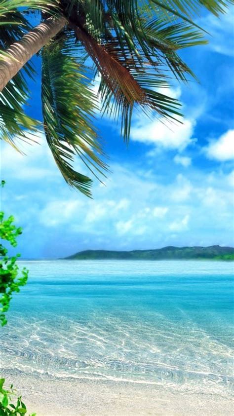 Bộ Sưu Tập 999 Hình Nền Bãi Biển đẹp Hình Nền Bãi Biển Tuyệt đẹp