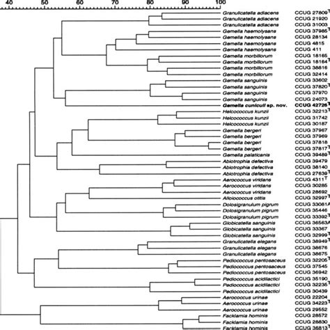 Dendrogram Derived From The Unweighted Pair Group Average Linkage Of