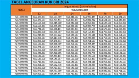 Brosur Kur Bri 2024 Tabel Pinjaman Bri Lengkap Sampai Rp 100 Juta
