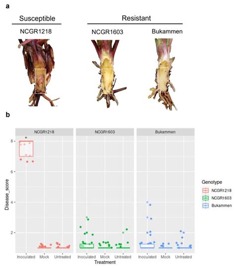Ijms Free Full Text Comparative Transcriptome Analysis Reveals